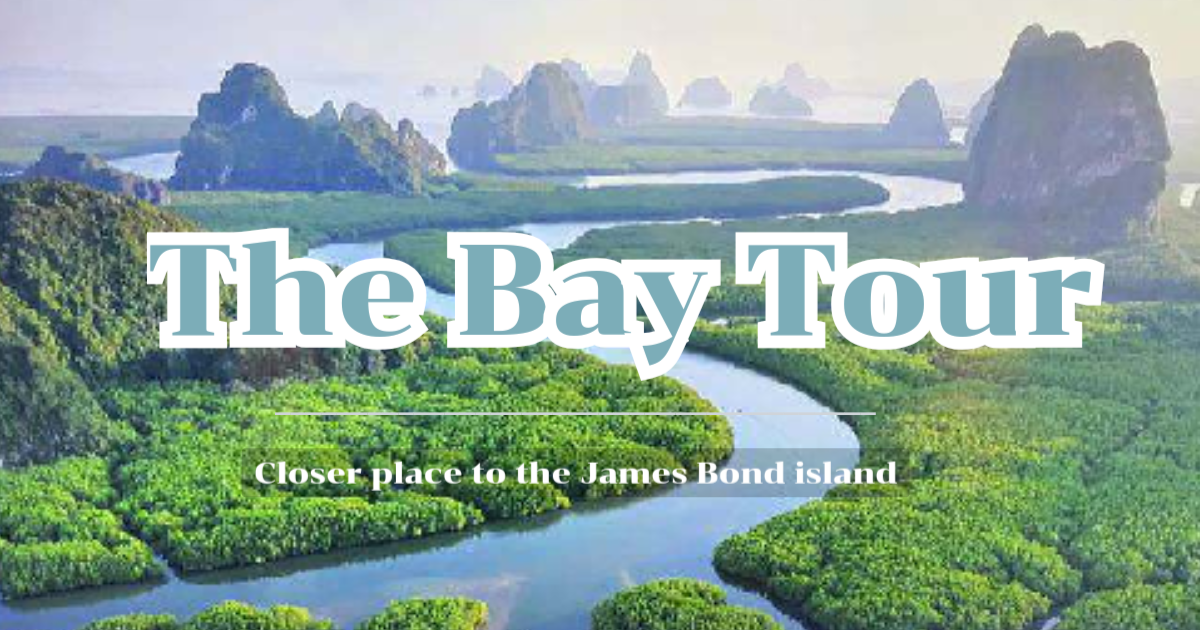 The Bay Tour